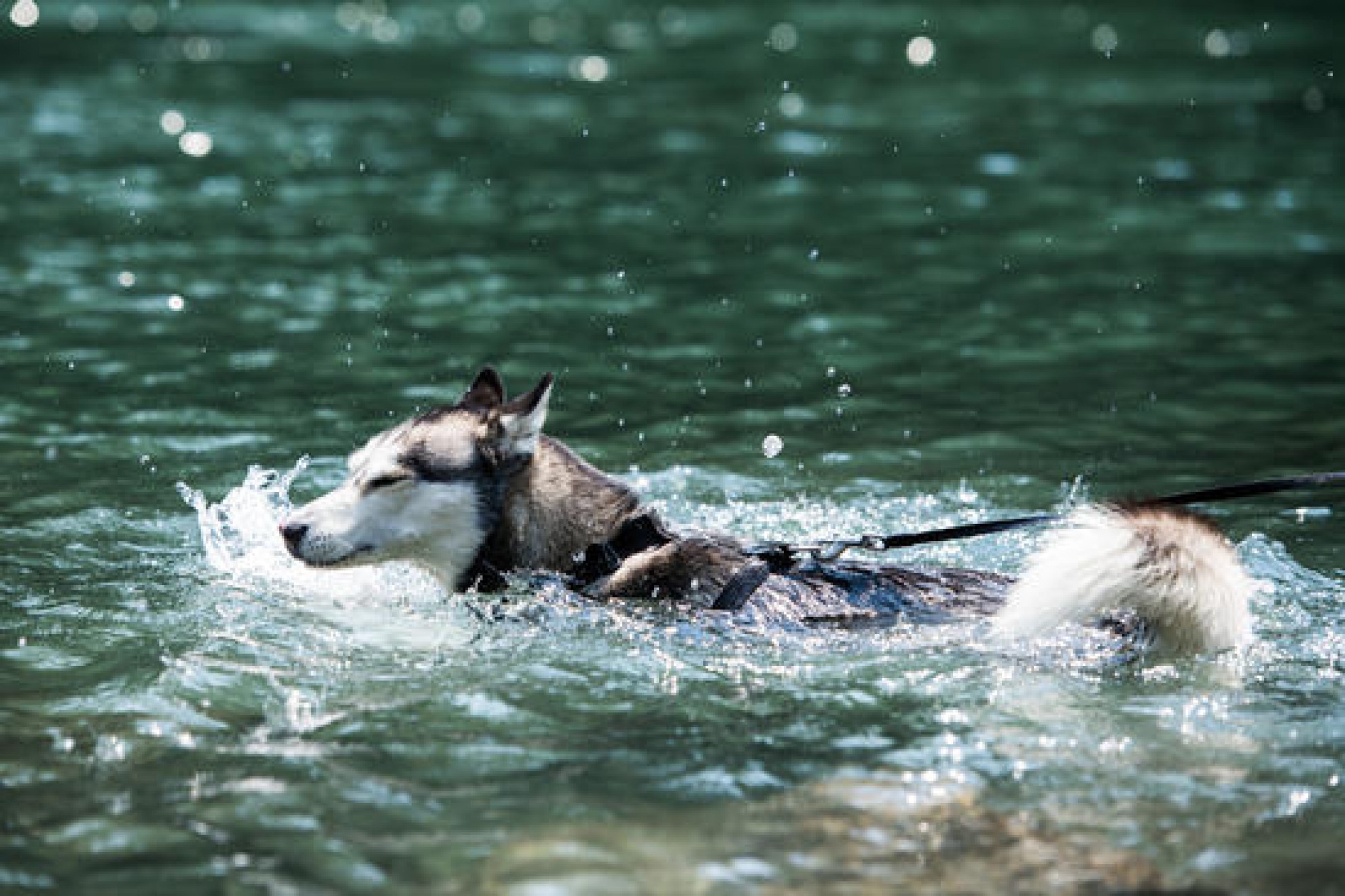 Un weekend da canicola. In Ticino è allerta di grado 3 - Ticinolibero