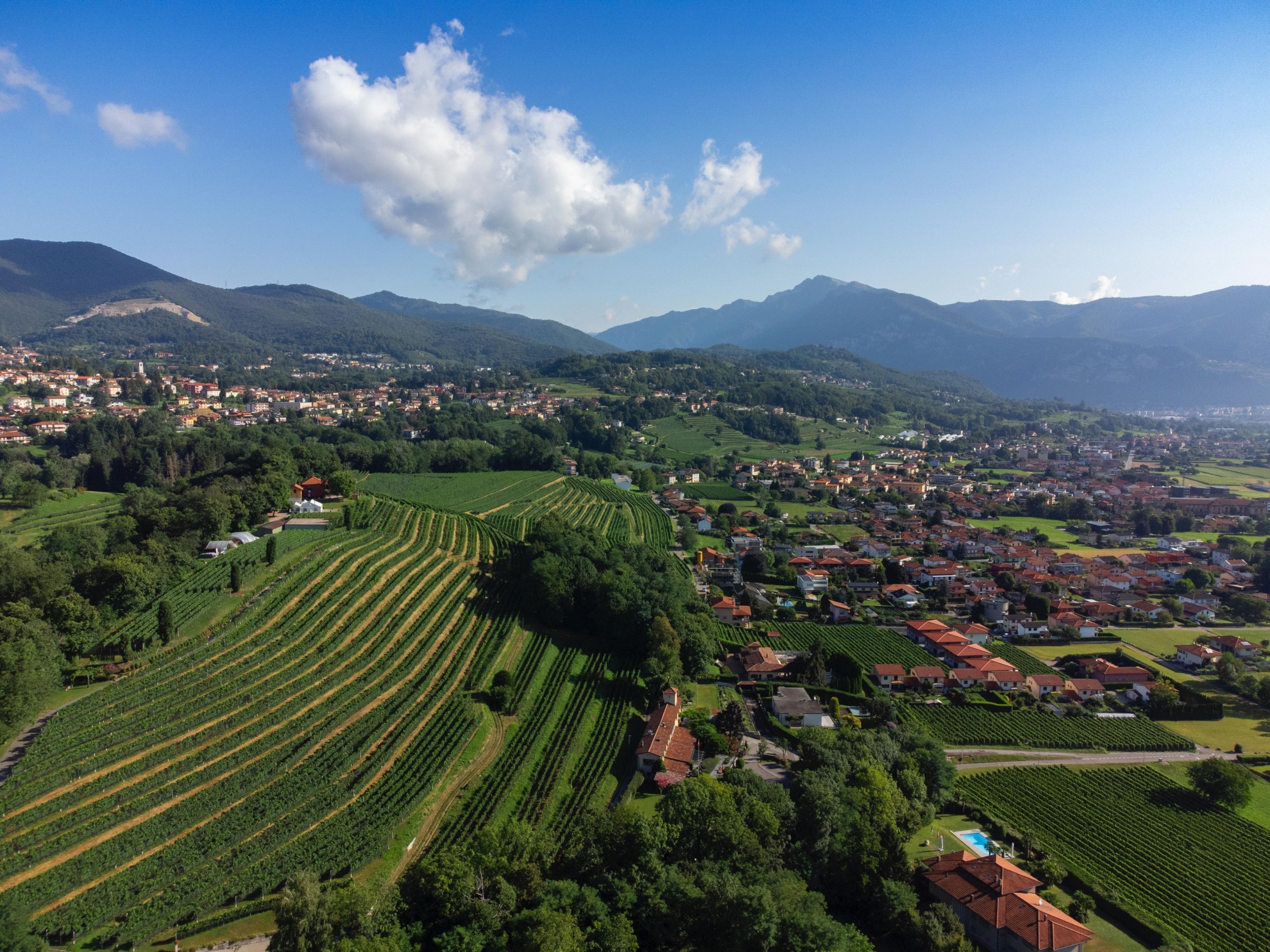 Montalbano Festival: cinque tappe del gusto dedicate al territorio di ...